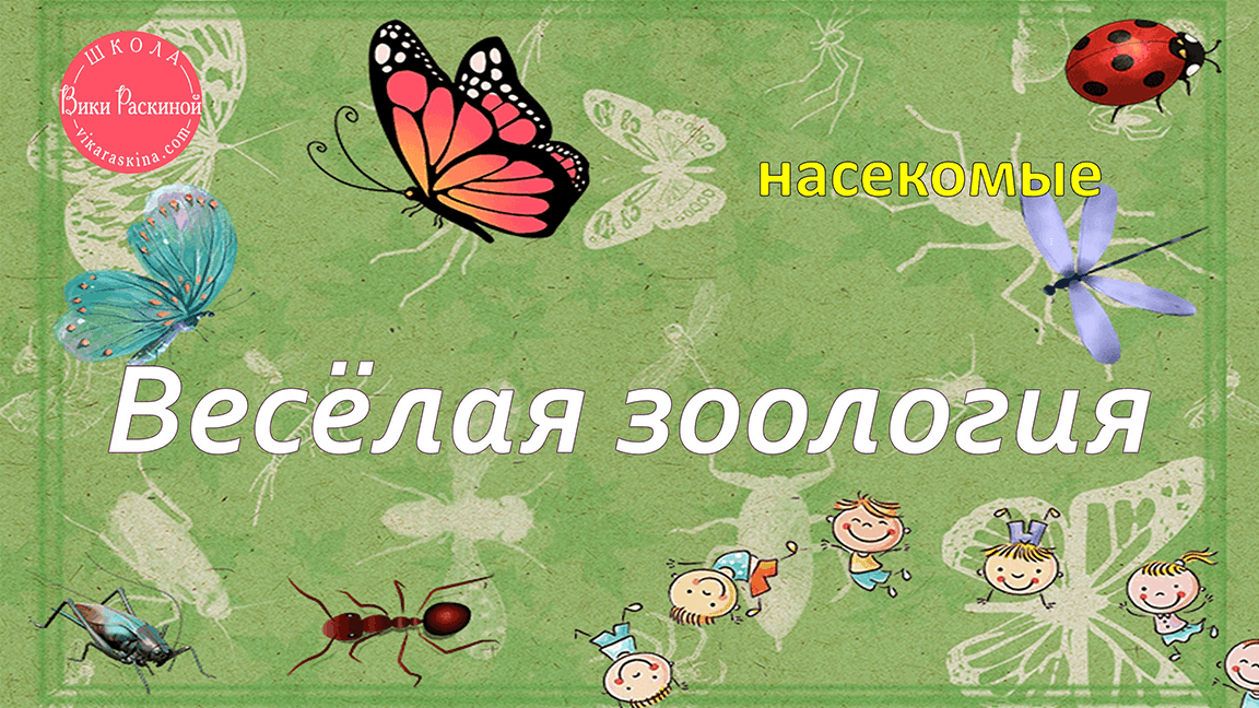 Весёлая зоология – Насекомые. Видеоуроки по русскому языку для детей 3 ...